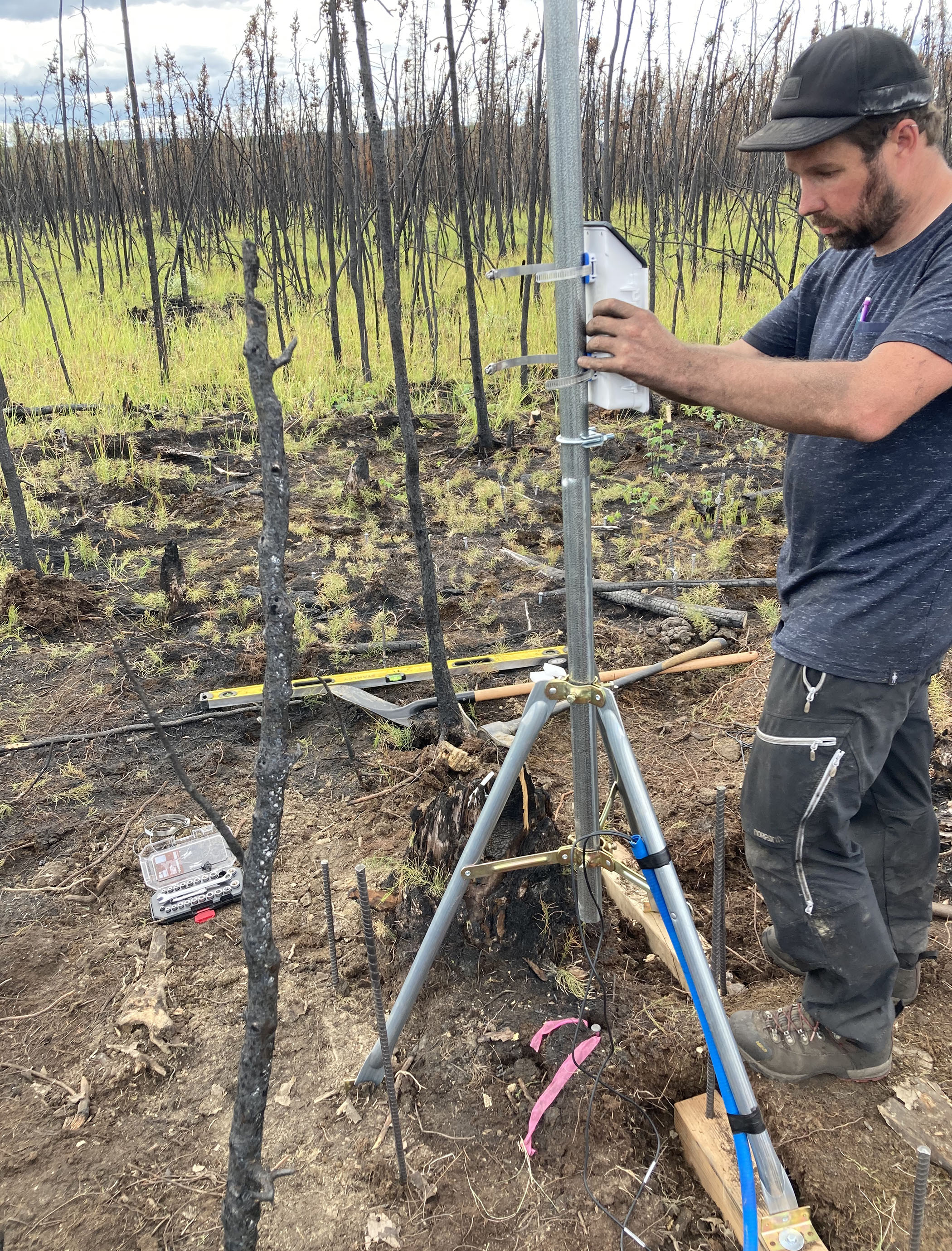 Wildfire resilience initiative launches with $3.7 million in seed ...