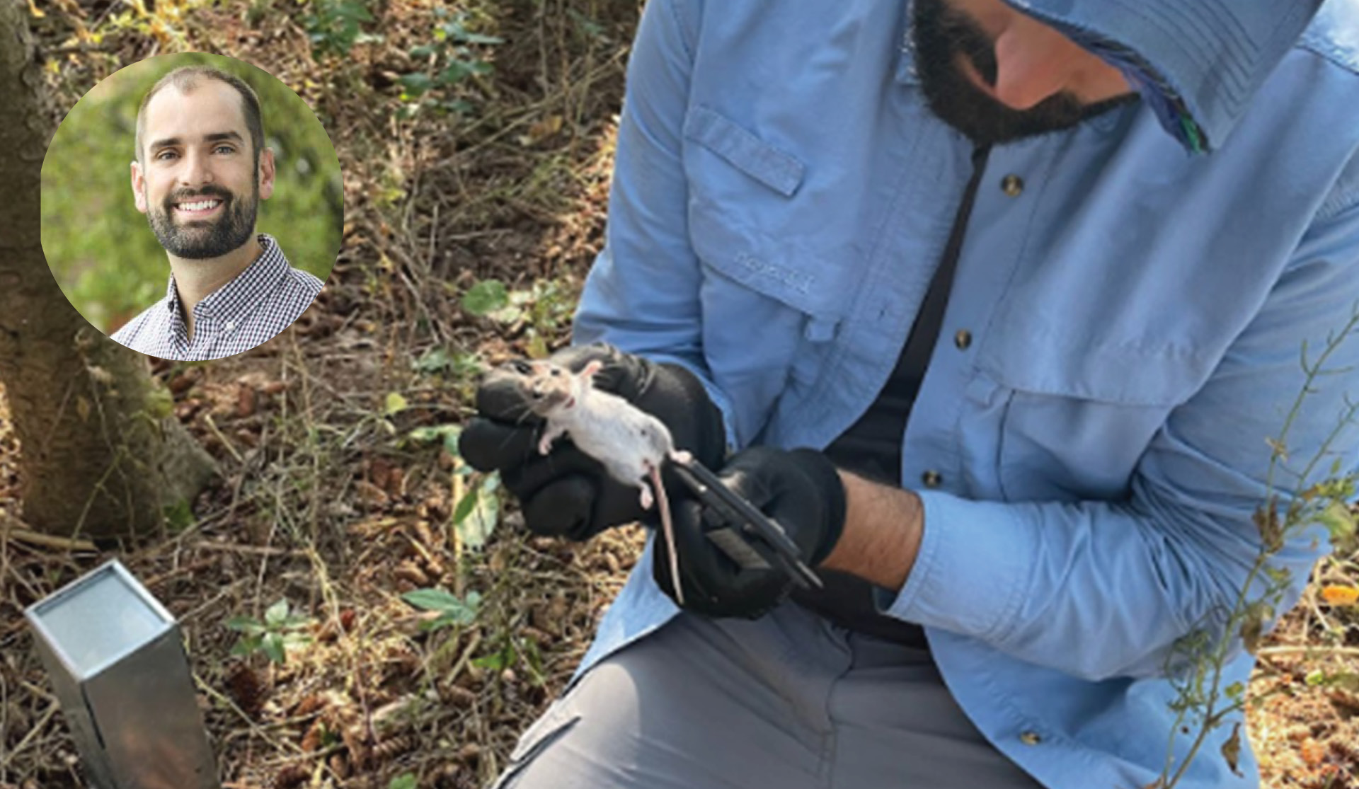 Agents of Mouse Destruction: Understanding What Controls Seed Predation ...