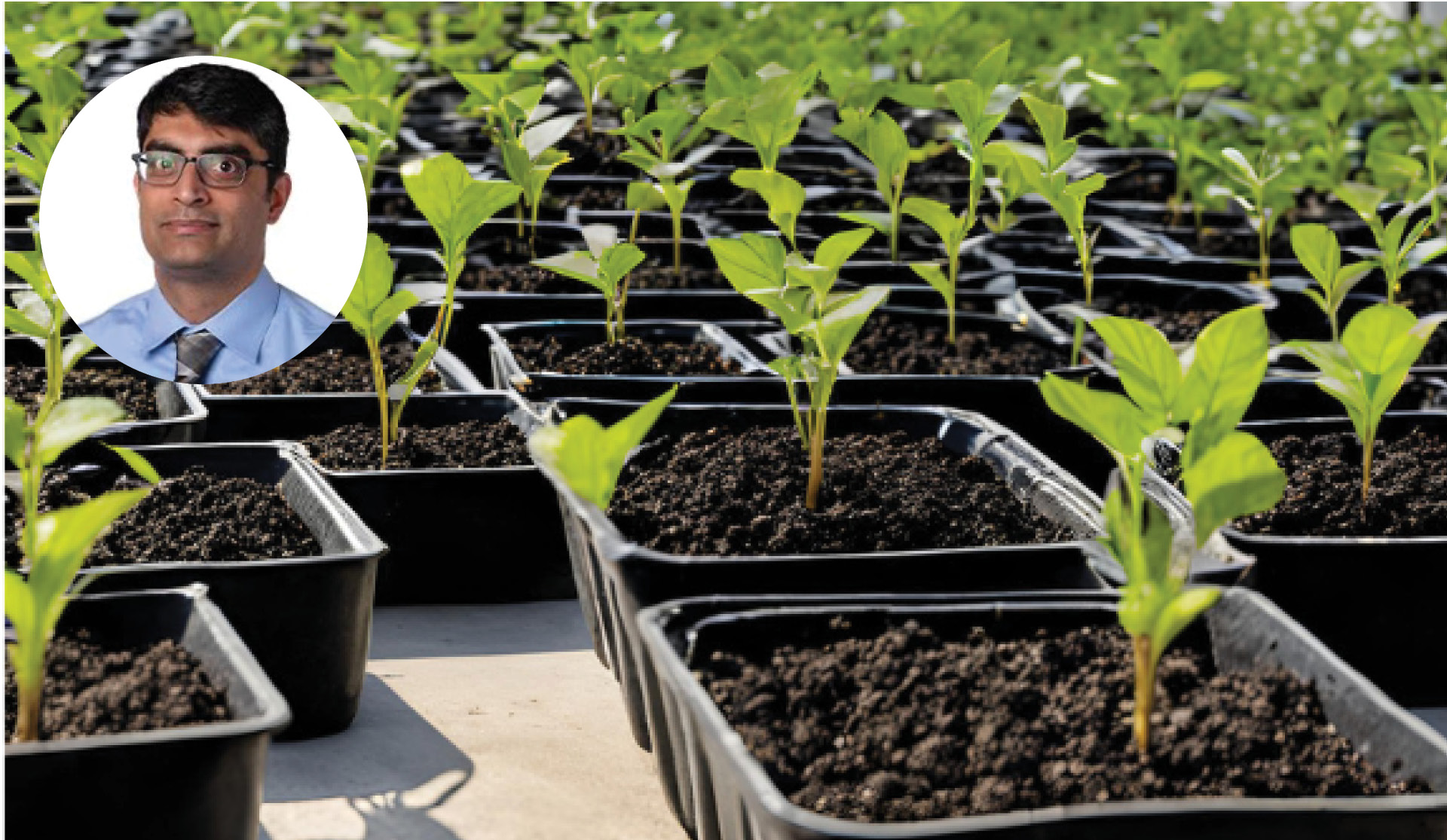 Biochar: Impacts on Climate Change, Plant Communities, and Collaboration