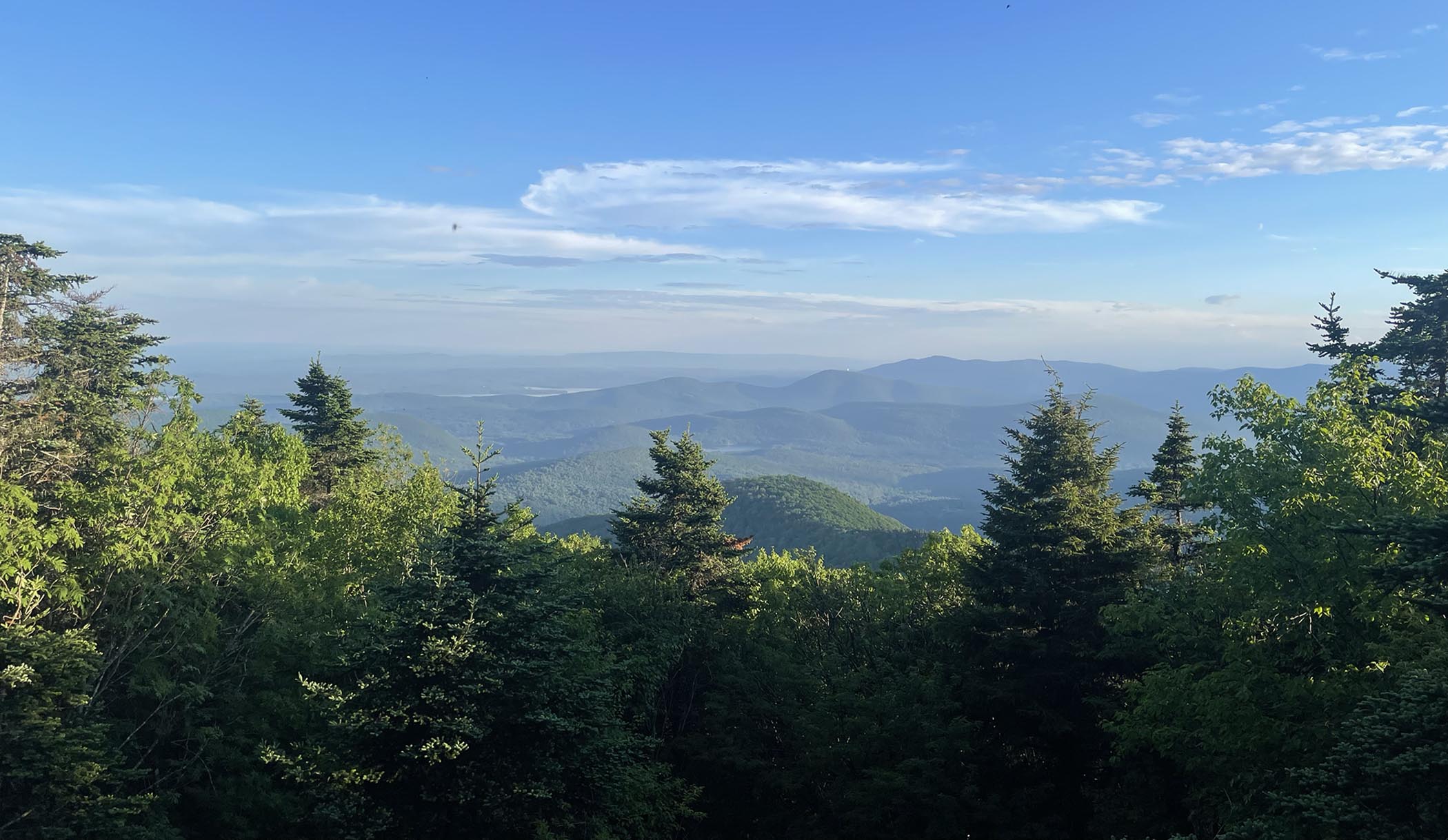 The early birds of the Catskill High Peaks