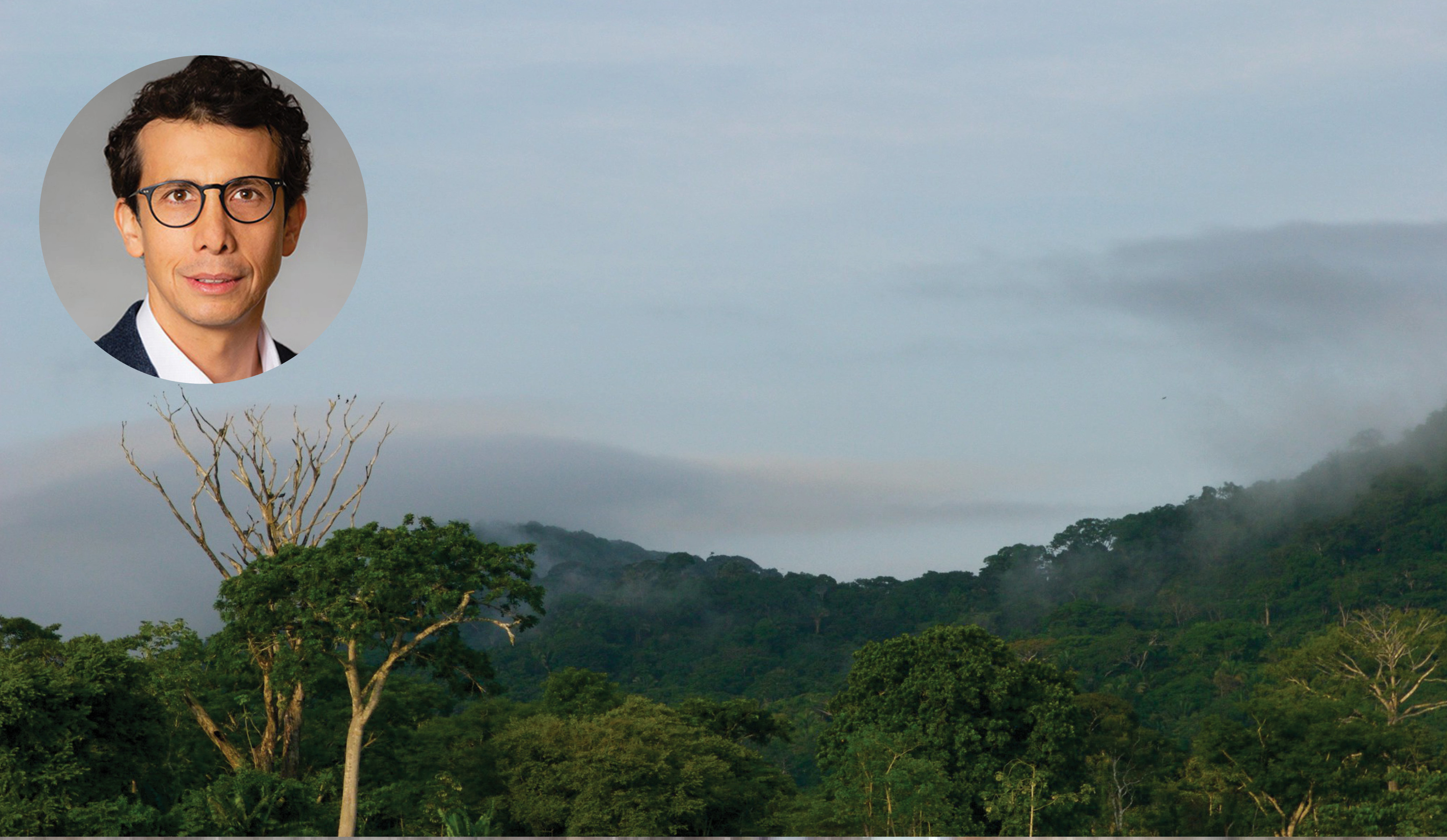 Seed-Microbial Interactions & Tropical Tree Species Diversity Implications