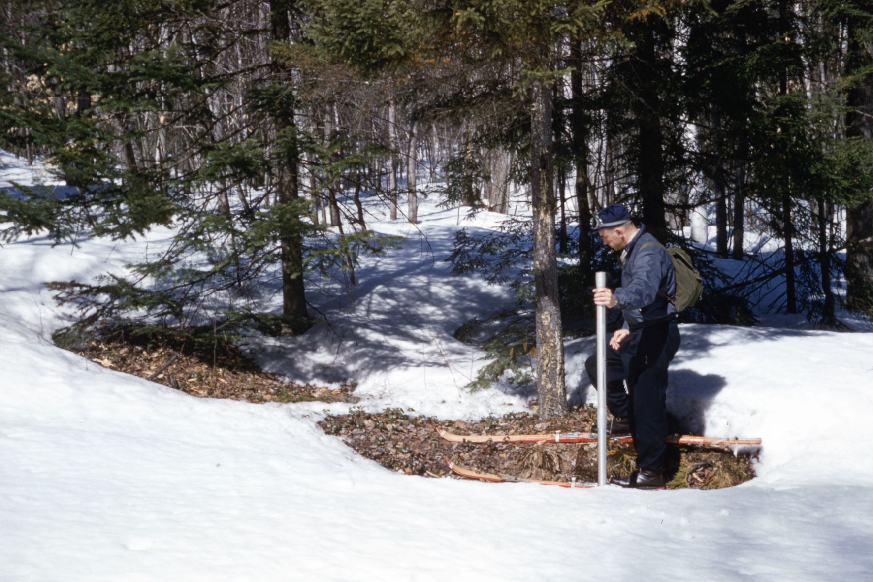 Disentangling the causes of the Northeast's shrinking snowpack
