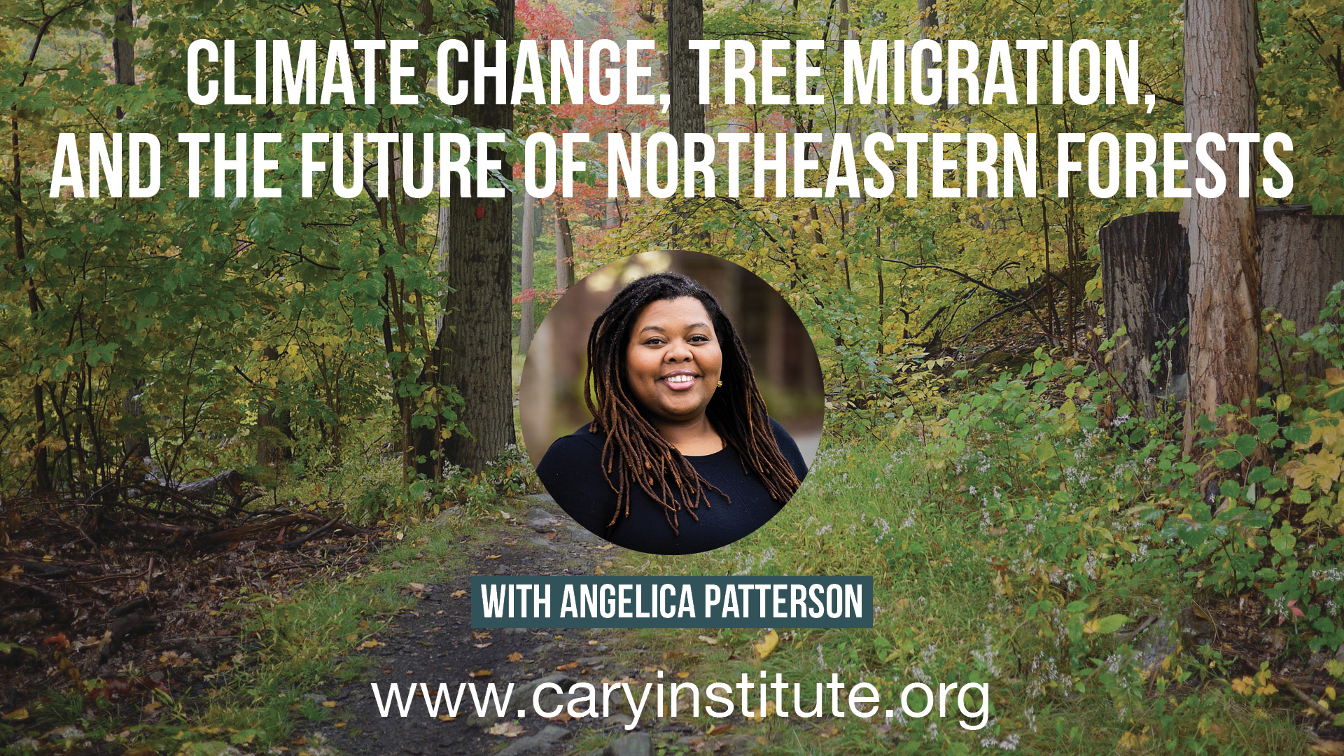 Climate Change, Tree Migration, and the Future of Northeastern Forests