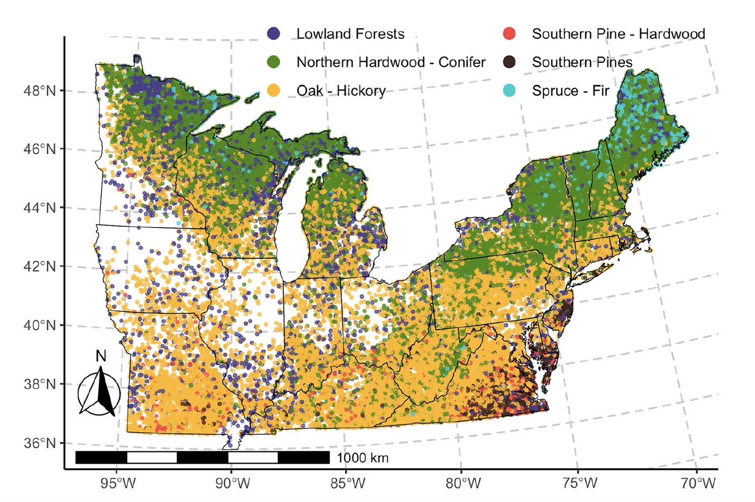 Responsible logging can help northeastern US forests adapt to climate ...