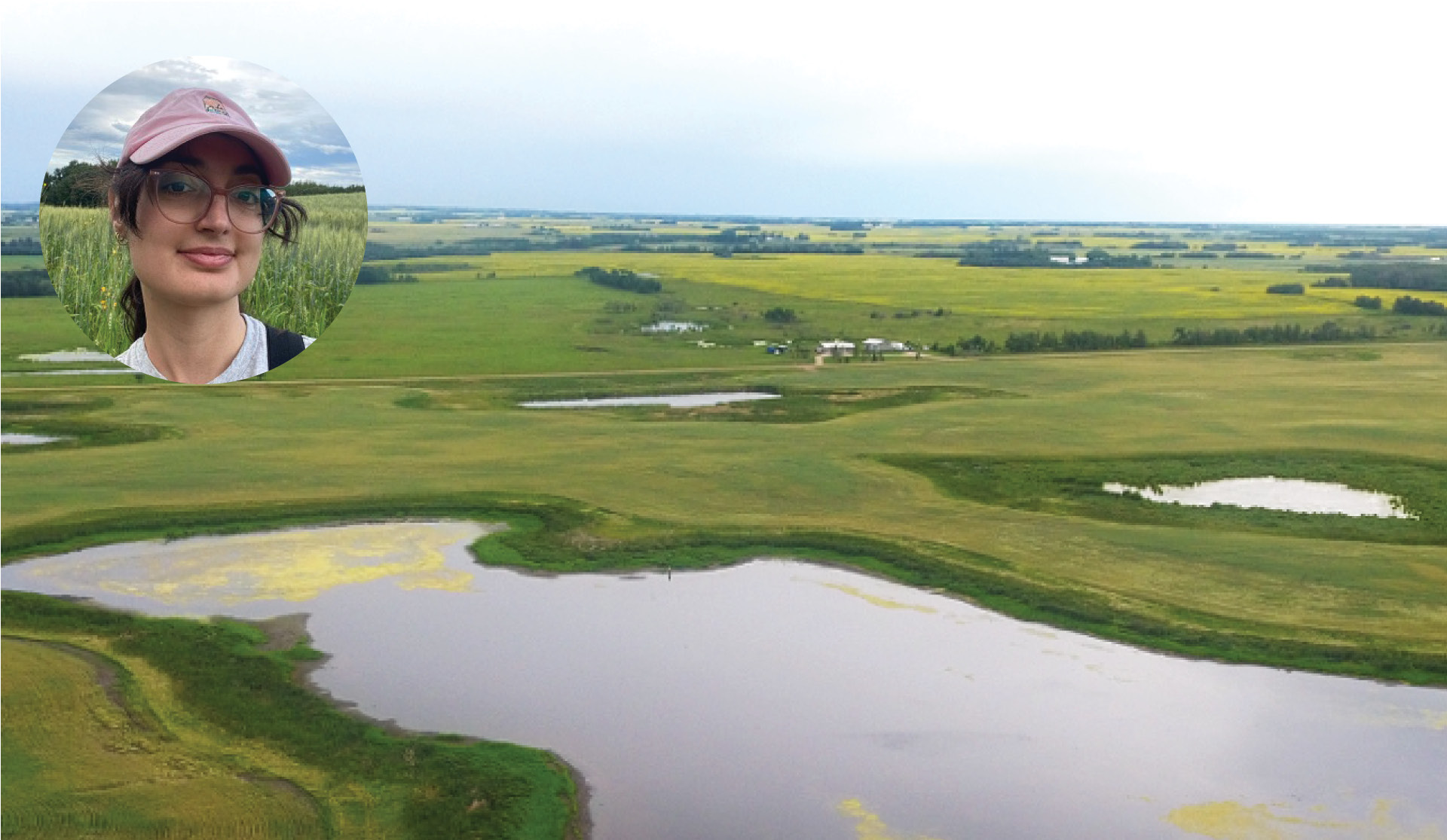 Agriculture Impacts Greenhouse Gas Emissions from Canadian Prairie Wetlands