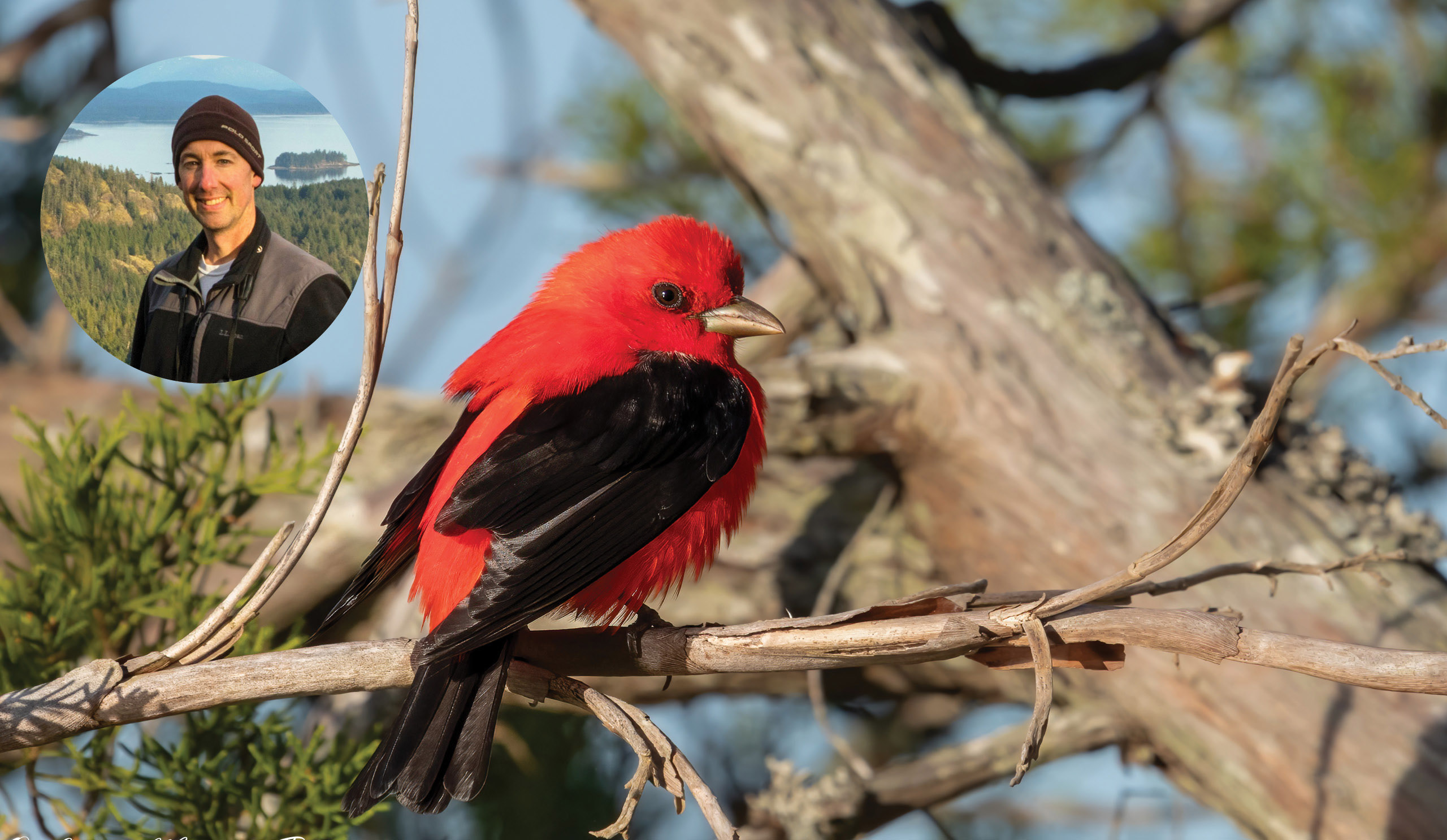 Spring Photography Bird Walk in the Lowlands