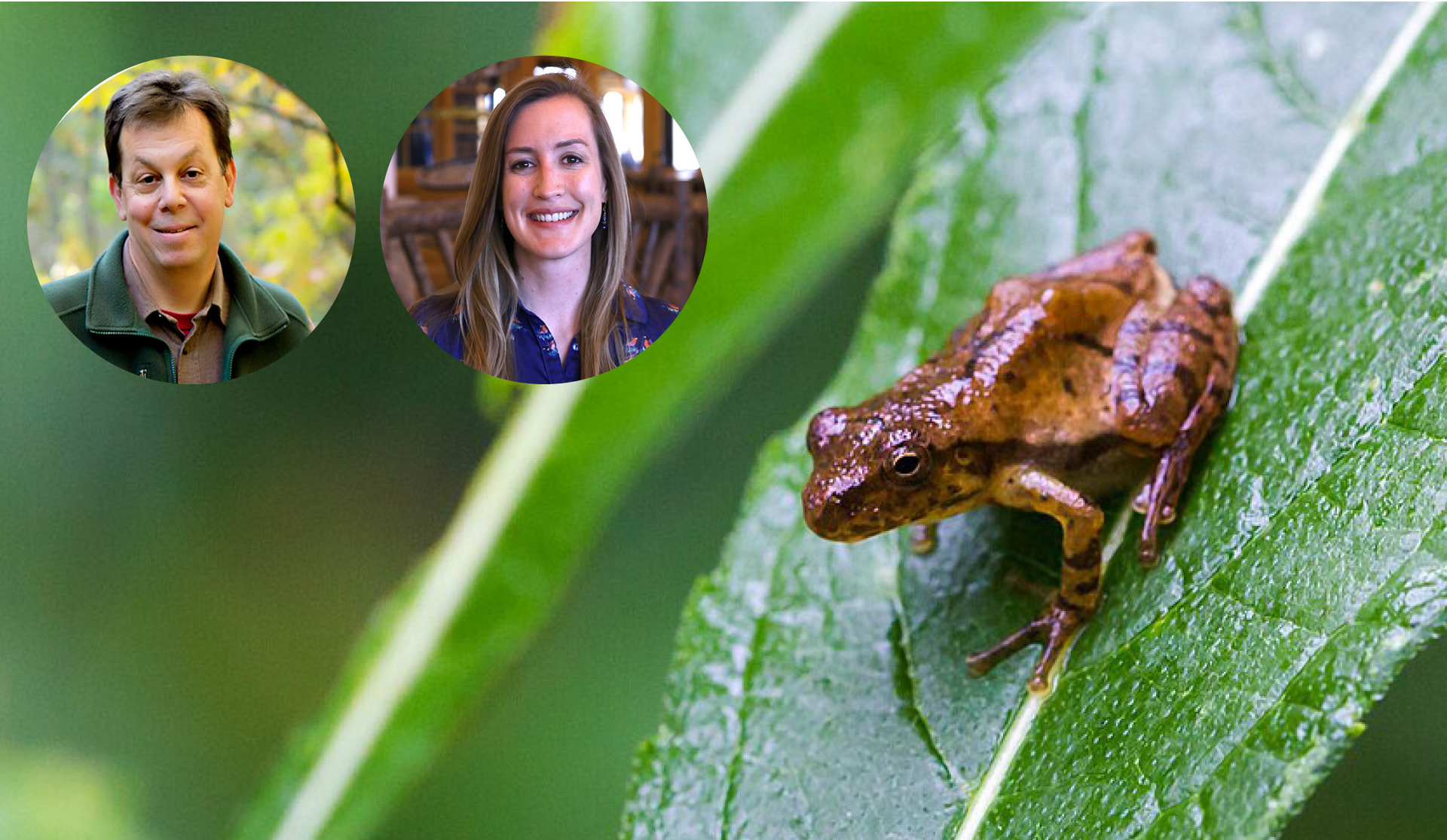 Sights & Sounds of Spring Evening Walk