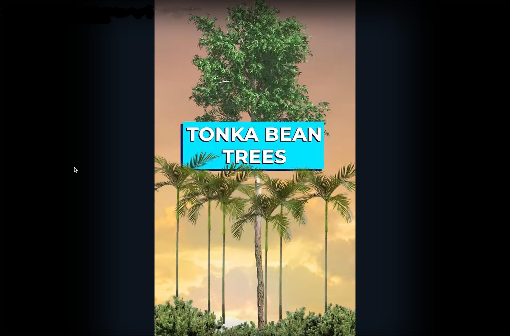 Scientists Discover Tree Using Lightning To Kill Its 'Enemies'