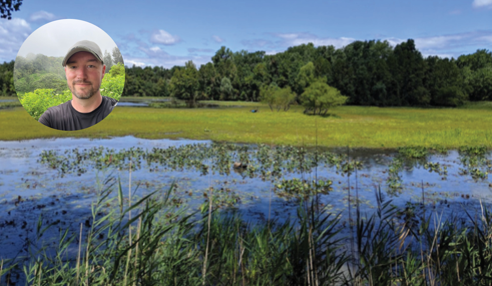 Effects of Salinization on Aquatic Community Structure and Function
