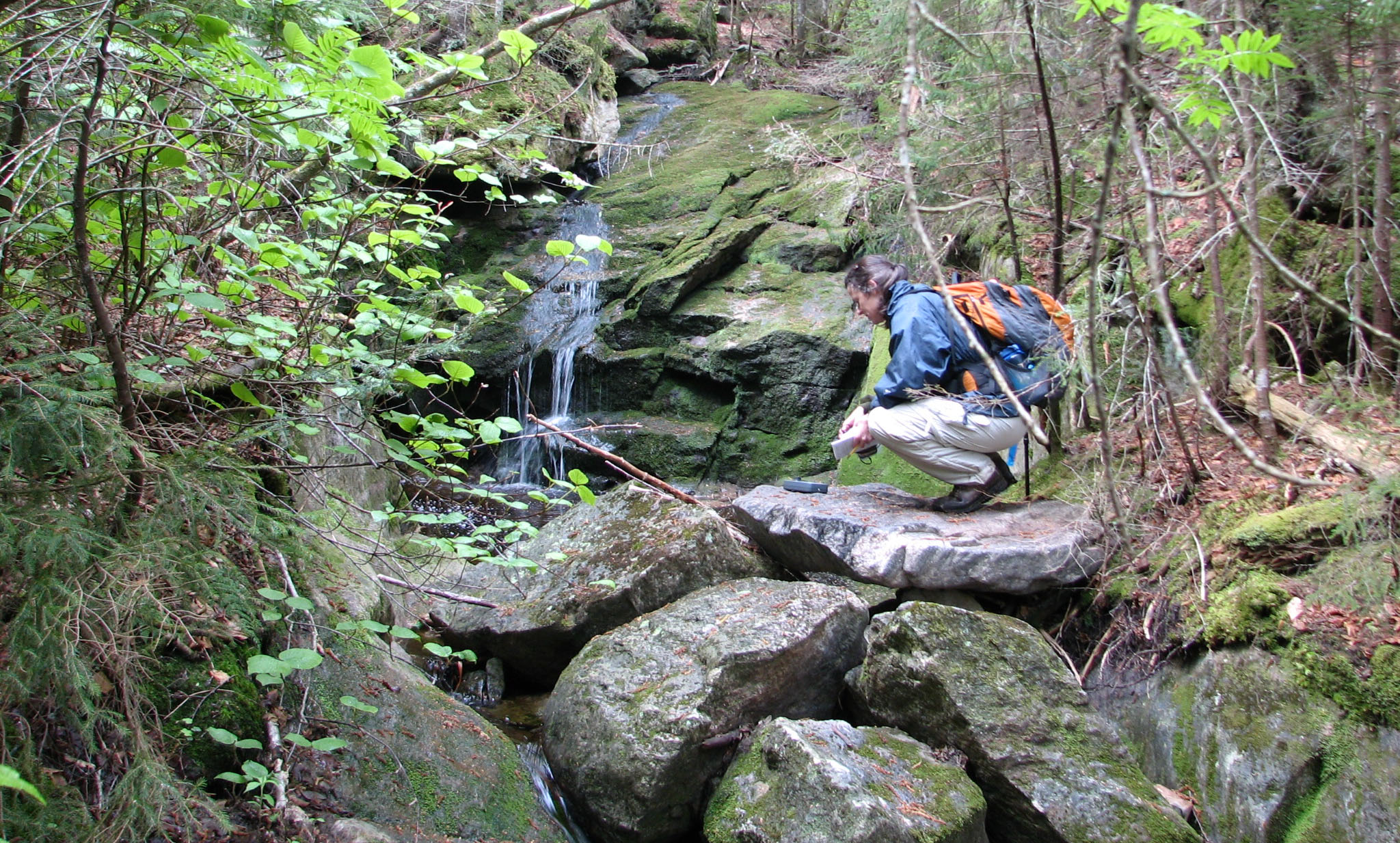 The Hubbard Brook Watershed Ecosystem Record